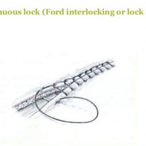 Ford interlocking or Continuous Lock or Lock suture Pattern Veterinary ...