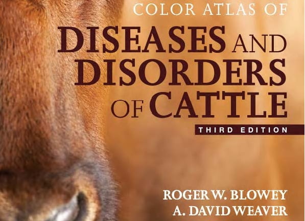 Color Atlas of Diseases and Disorders of Cattle 3rd Edition PDF